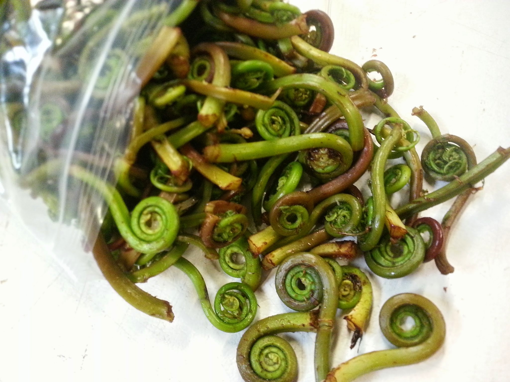 Mikuni Wild Harvest: Specialty Produce